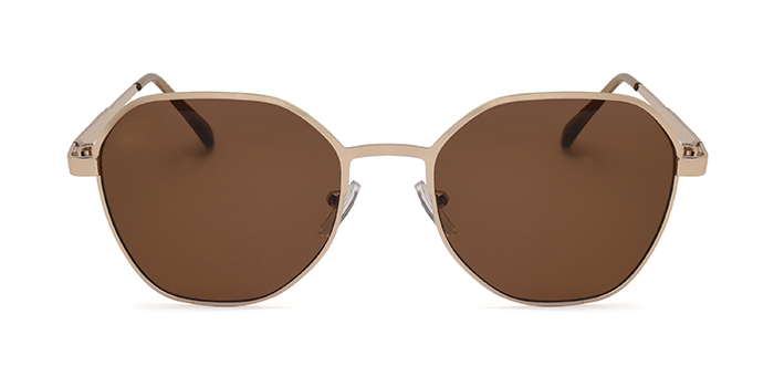 Alf Brown Tinted Round Sunglasses S15b3726 ₹1150